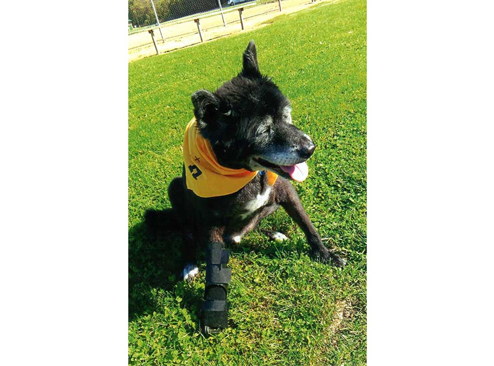Boo Boo, Melts a Heart, Saves a Life – Hero Braces