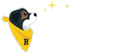 Hero Braces